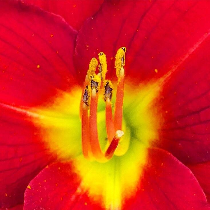 The Sexy Stuff Photograph By Danny Miller Fine Art America
