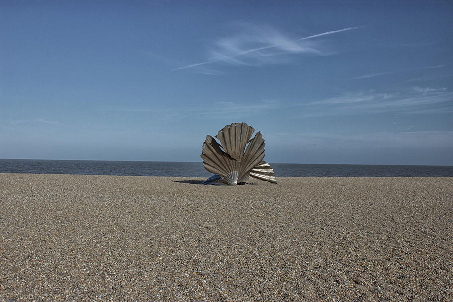 The Shell Photograph by Martin Newman - Pixels