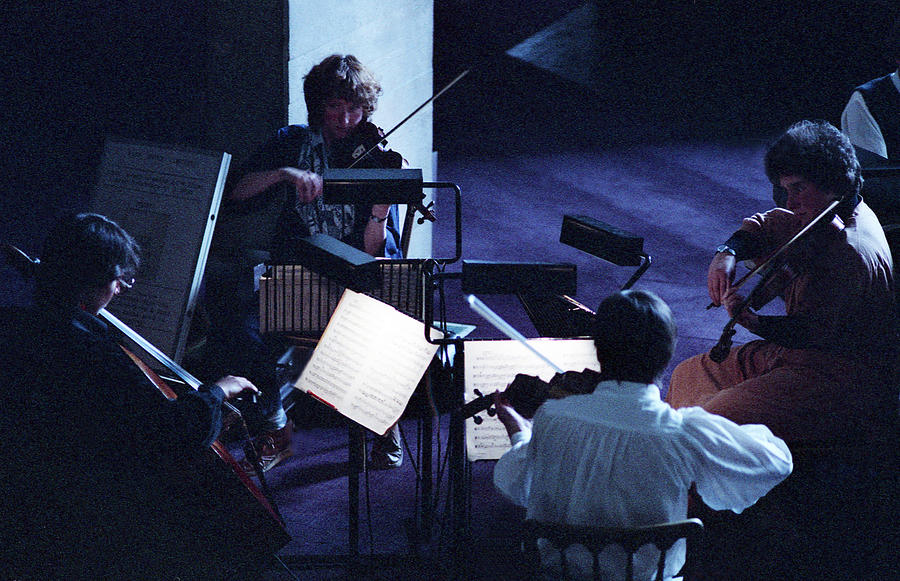 The String Quartet Photograph by Nancy Clendaniel - Pixels