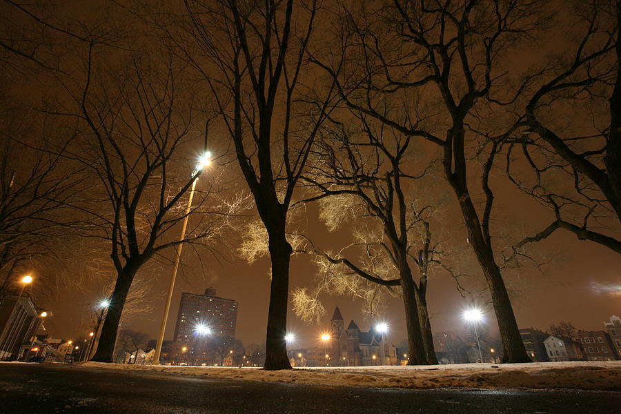 The Trees Photograph by Joe Rondone - Fine Art America