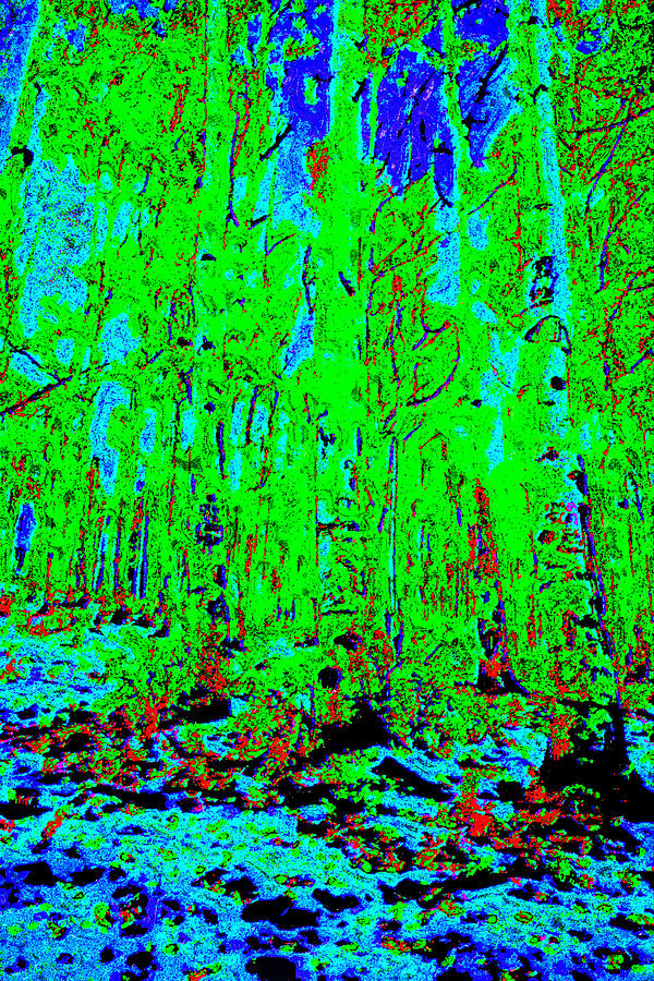 Thin Trees d3 Digital Art by Modified Image - Fine Art America