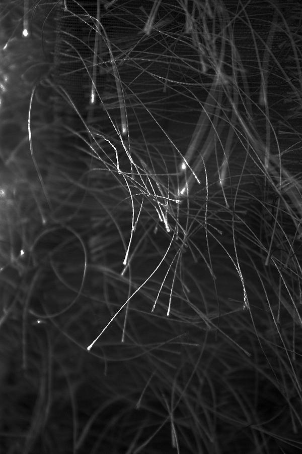 Threads of Light Photograph by Stephanie Puttre - Fine Art America