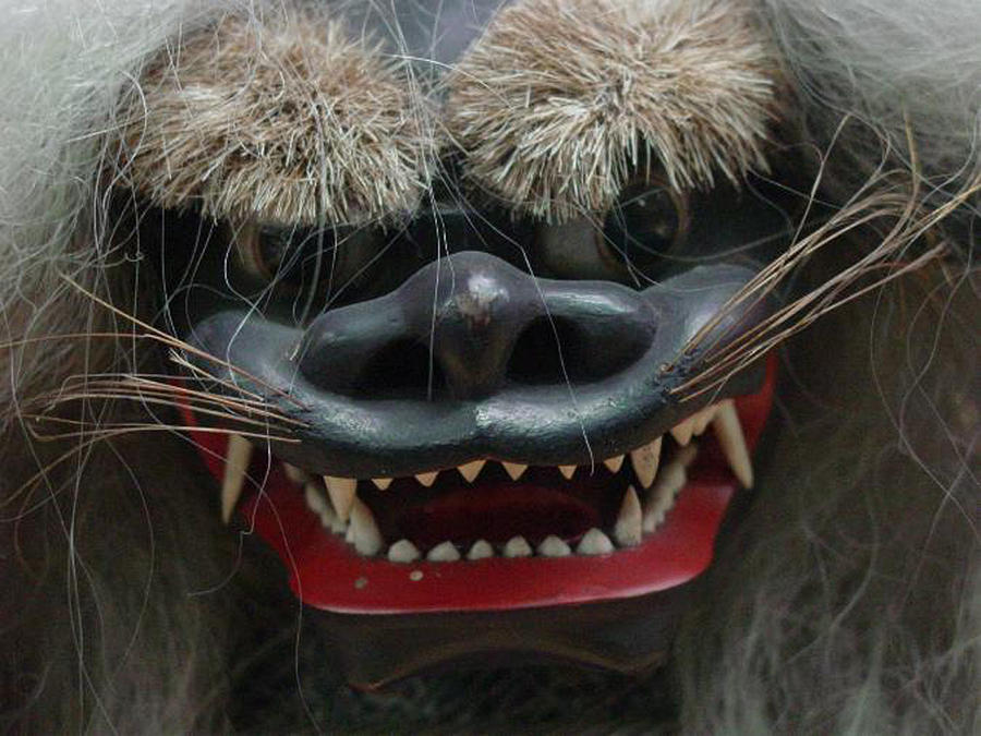 Tiger Dance Pyrography by Steve Mudge - Fine Art America