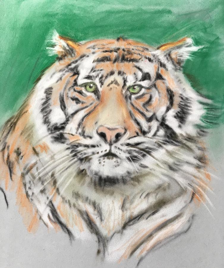 Tiger Pastel by John Rickman - Fine Art America