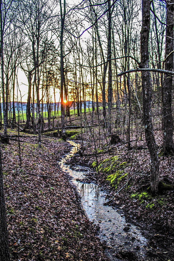 Tiny Stream Photograph by Chad Fuller - Fine Art America