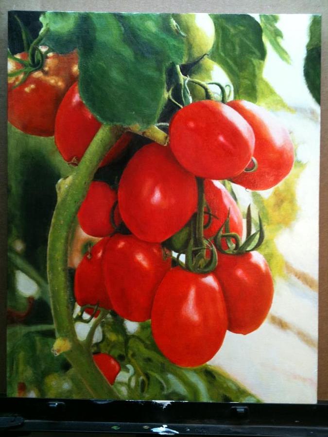 Tomatoes Painting by Brian Marsden - Fine Art America