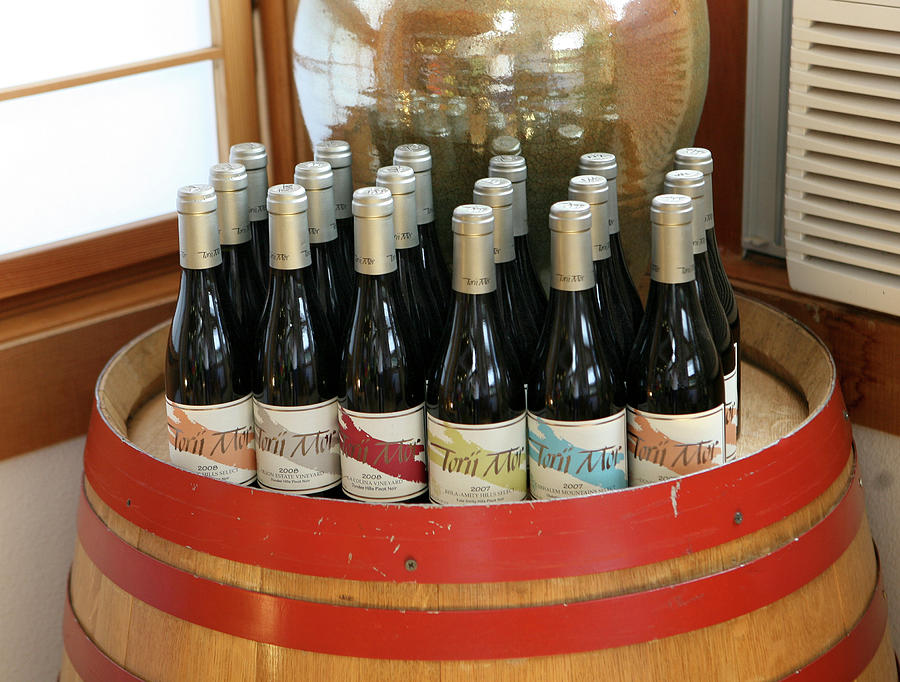 Tori Mor Vineyard Photograph by Liz Santie - Fine Art America