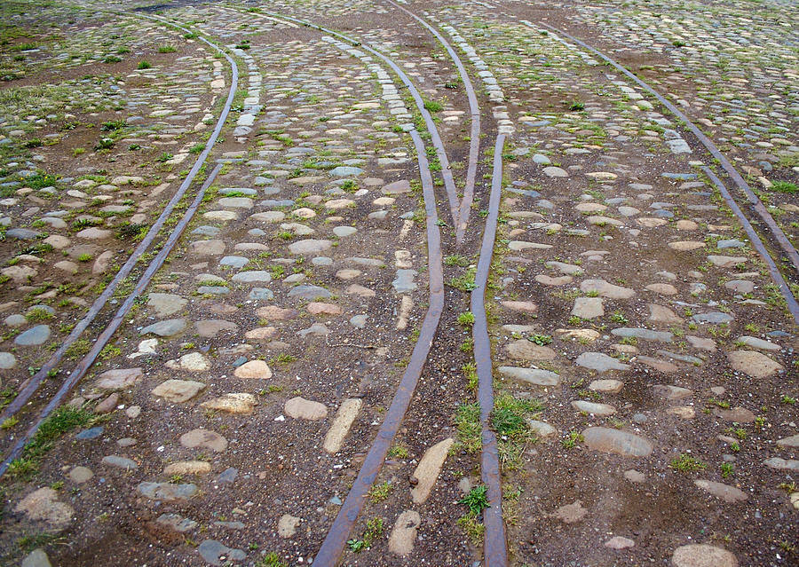 Tracks N Rocks Photograph by Pat Turner - Fine Art America