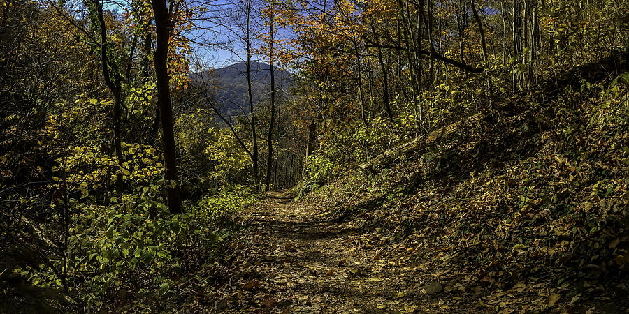 Trail Glow Photograph by Jason Hess - Fine Art America