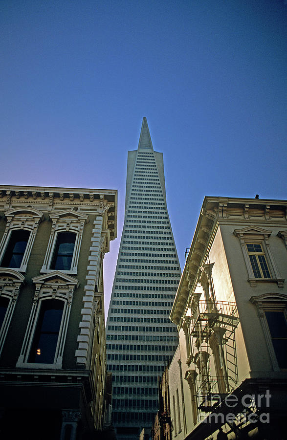 TransAmerica Pyramid Photograph by Jim Corwin - Fine Art America