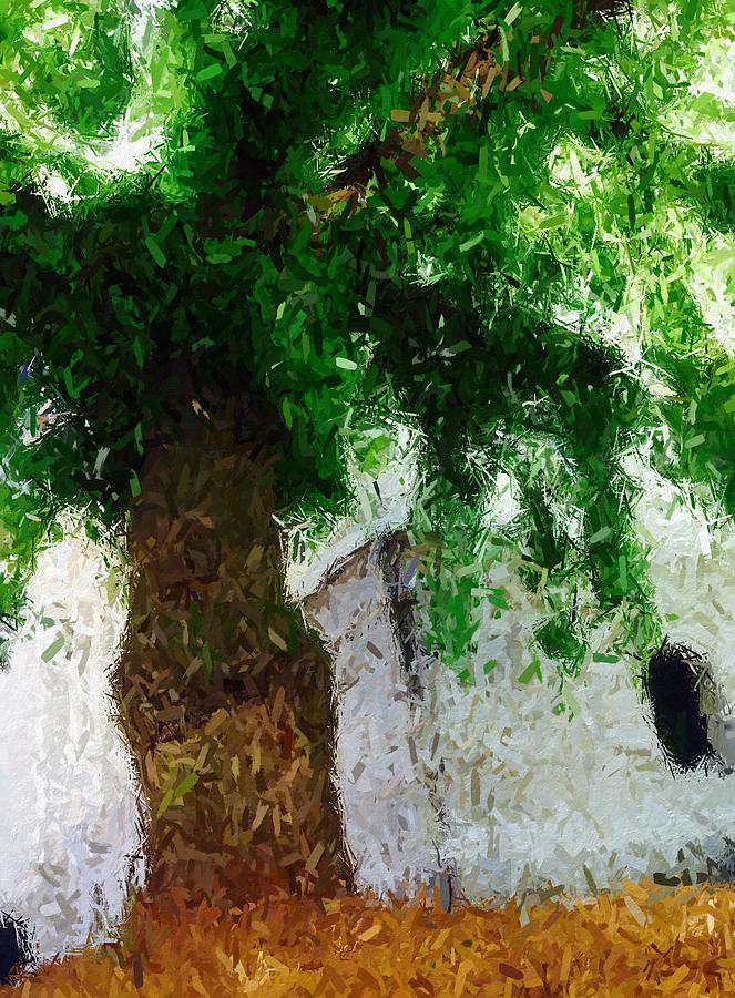 Tree Cascade Photograph by Rita Koivunen - Fine Art America