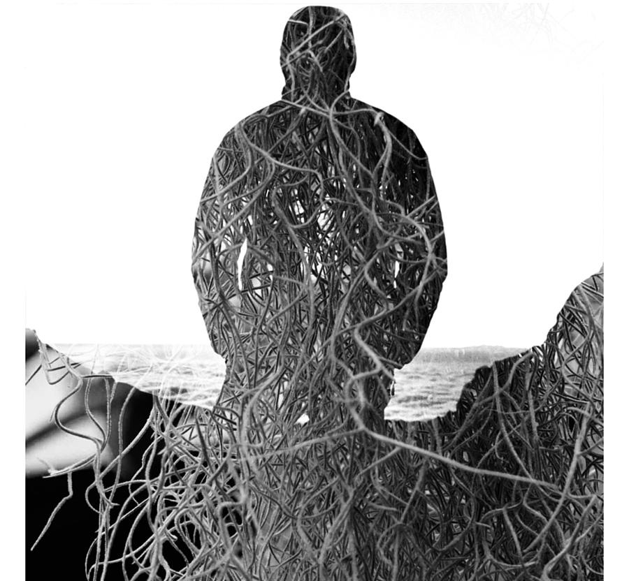 Tree Man Photograph by Ana Fishman - Pixels