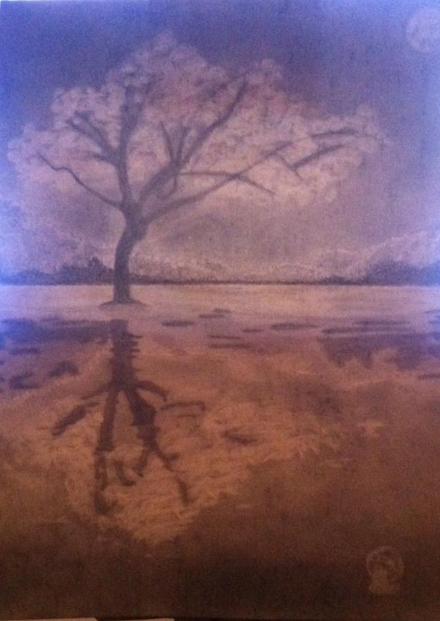 Tree Reflection Drawing by Eliza Ruth Heaney