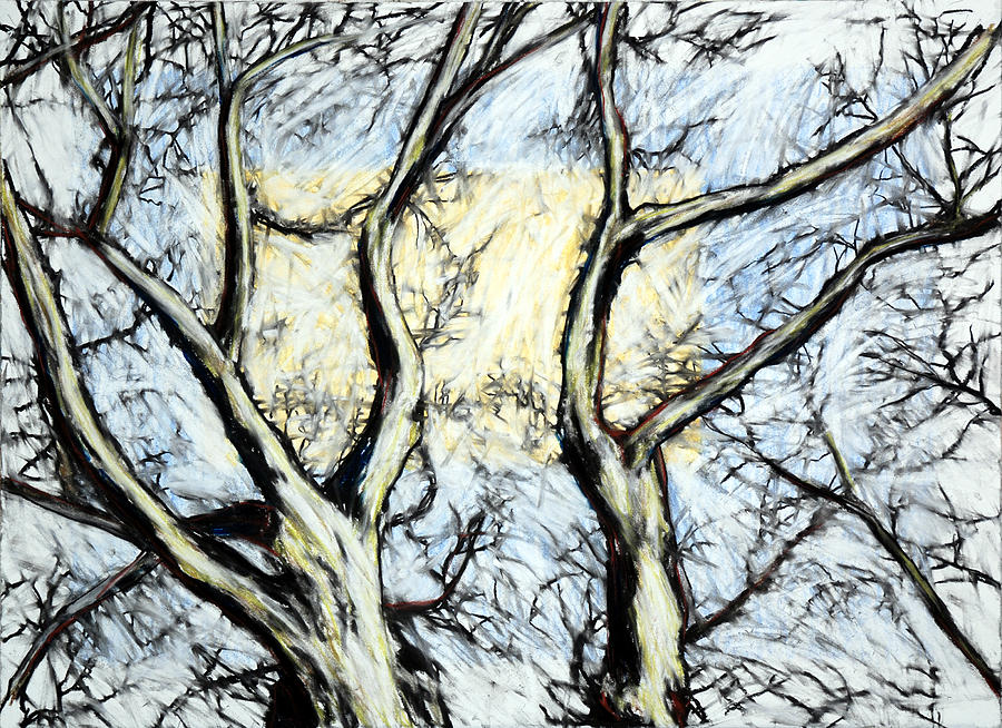 Tree with Rectangle Sun Drawing by John Terwilliger - Fine Art America