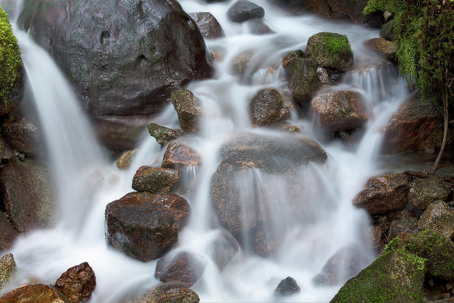 Tributary Photograph by Bob Stevens - Fine Art America