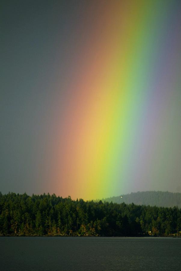 True colour Photograph by Marty Borsboom - Fine Art America