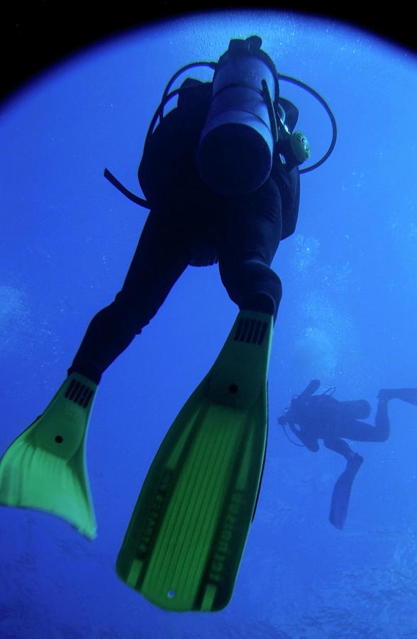 Two scuba divers swimming Photograph by Sami Sarkis - Fine Art America Two scuba divers swimming Photograph by Sami Sarkis - Fine Art America
