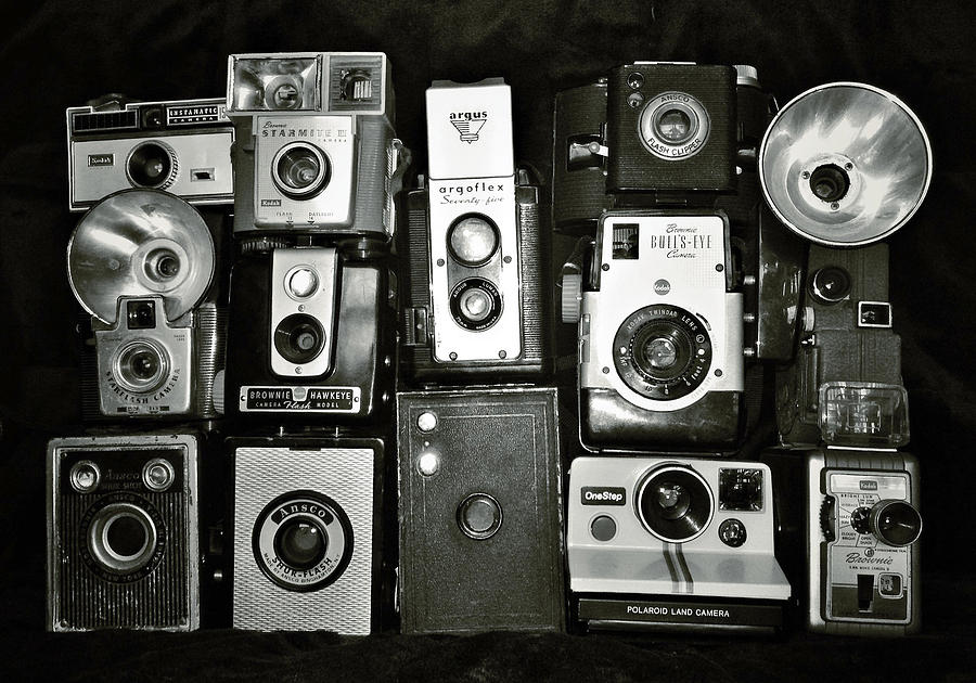 Vintage Cameras Photograph by Stacy Egnor - Pixels