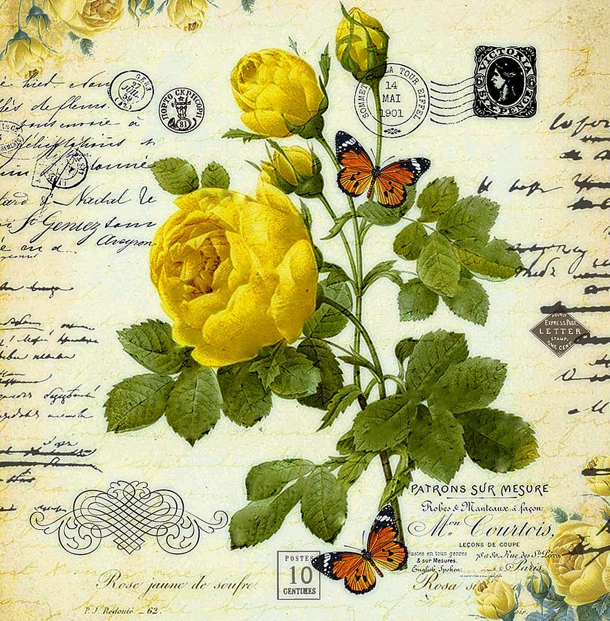Vintage yellow roses Mixed Media by Elizabeth Mix - Fine Art America