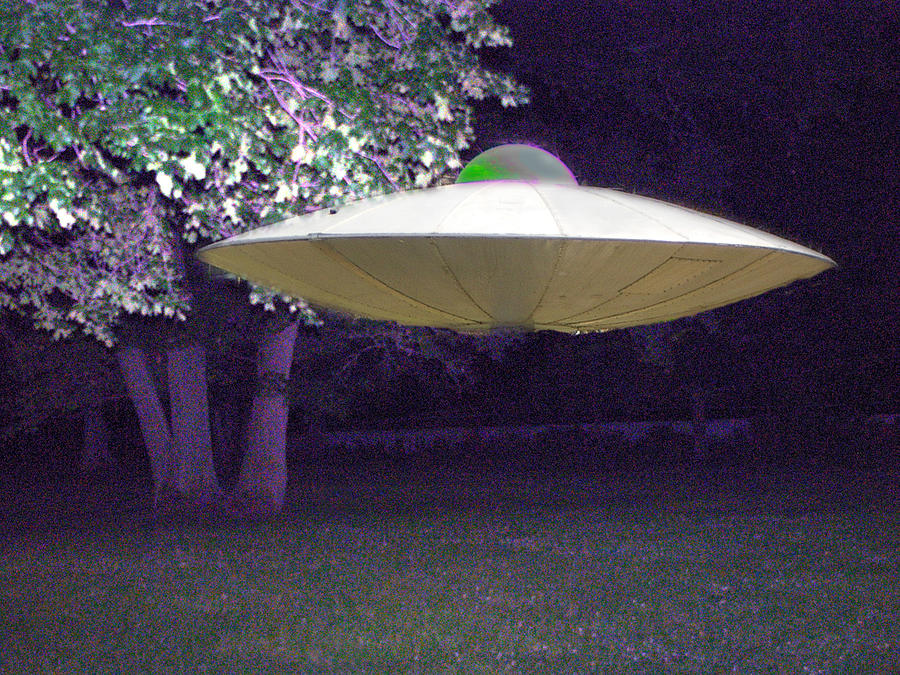 Vistors Photograph by Wade Buzanko - Fine Art America