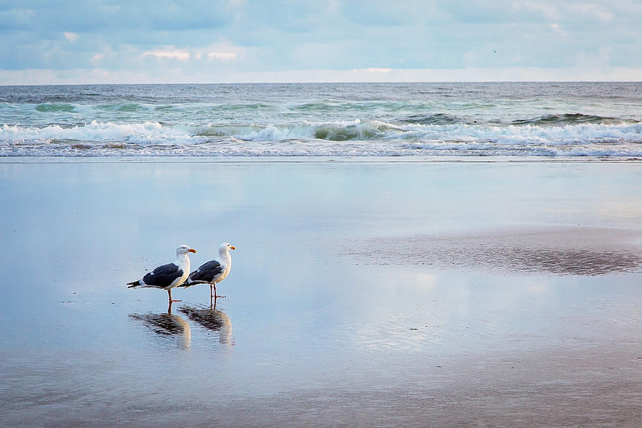 Waiting for the Tide Photograph by Beth Hutter - Fine Art America