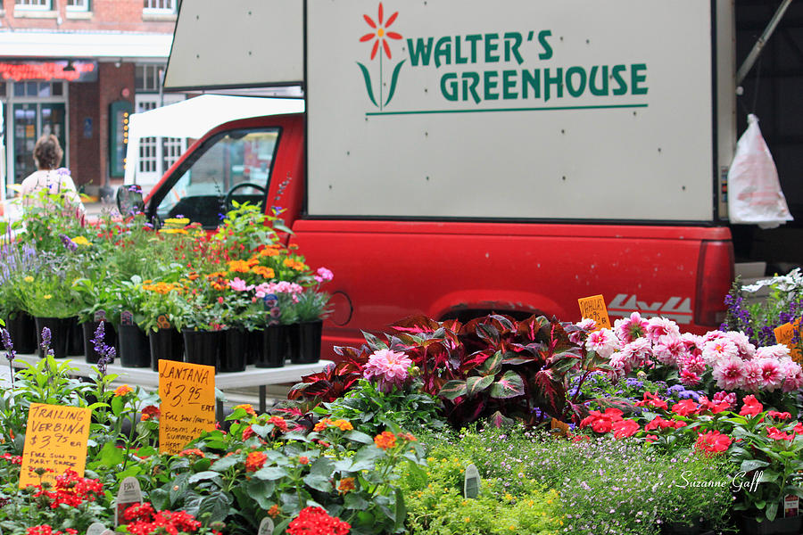 Walters greenhouse store