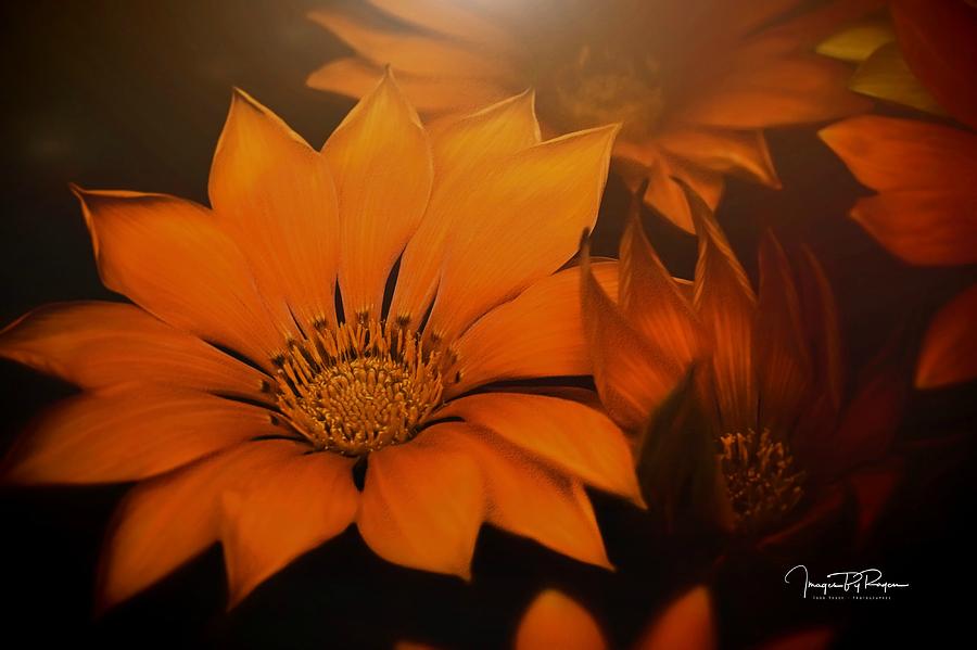 Warming Rays Mixed Media by Todd Yoder - Fine Art America