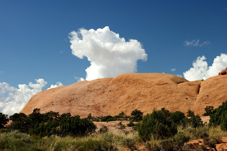 Whale Rock Photograph by Beth Collins - Fine Art America