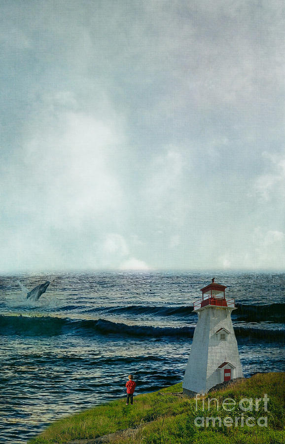 Whale Watch Photograph by AJ Yoder - Fine Art America