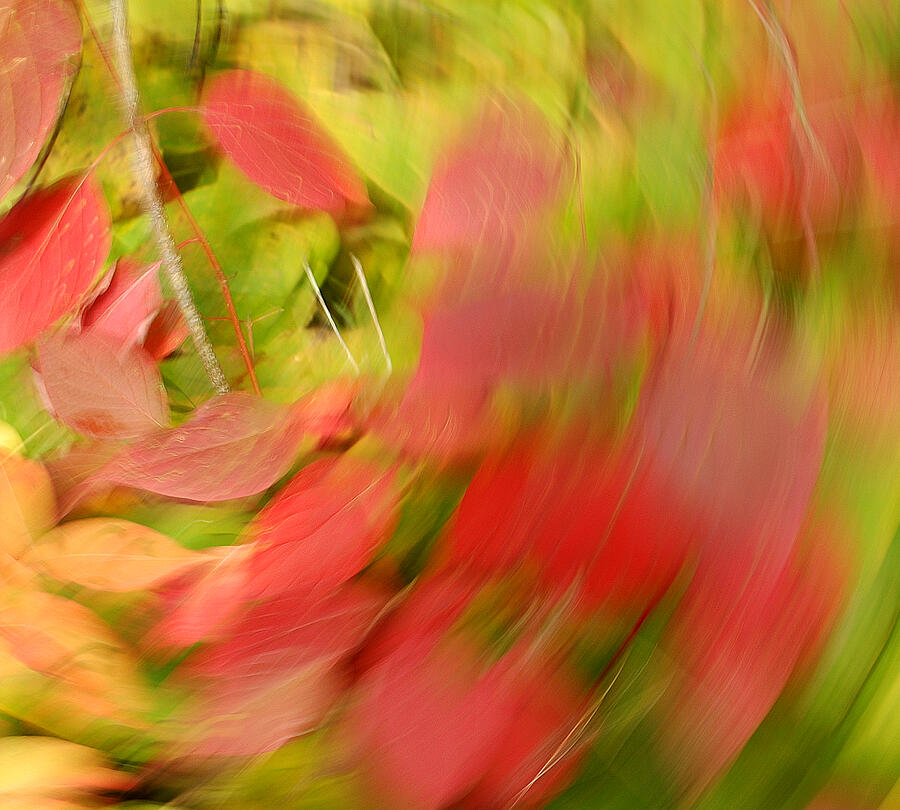 Whirlwind Photograph by Bill Morgenstern | Fine Art America