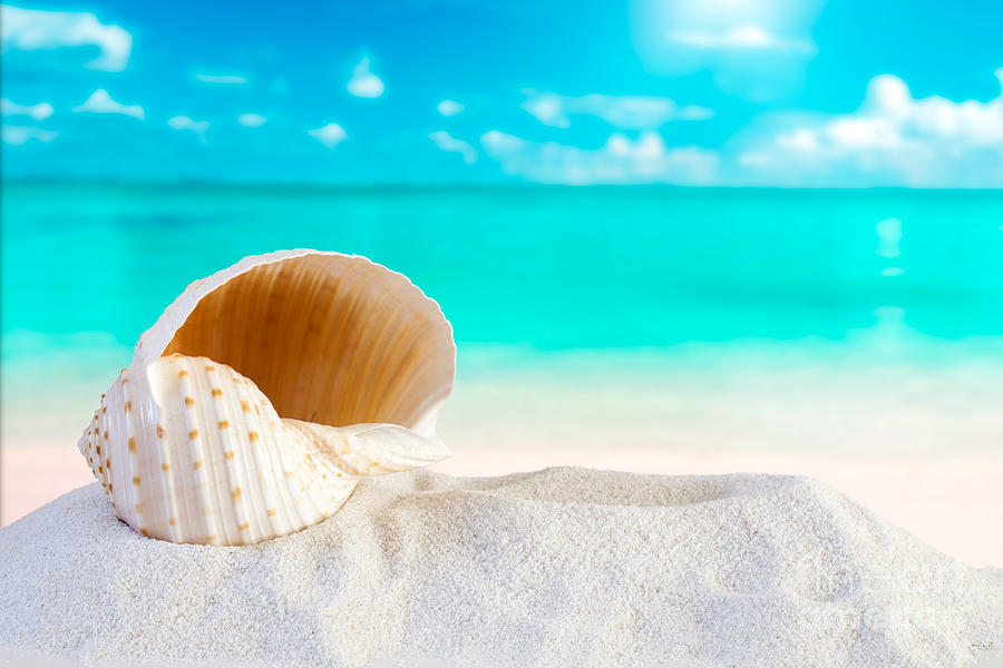 White Beach Photograph by Corina Daniela Obertas - Fine Art America