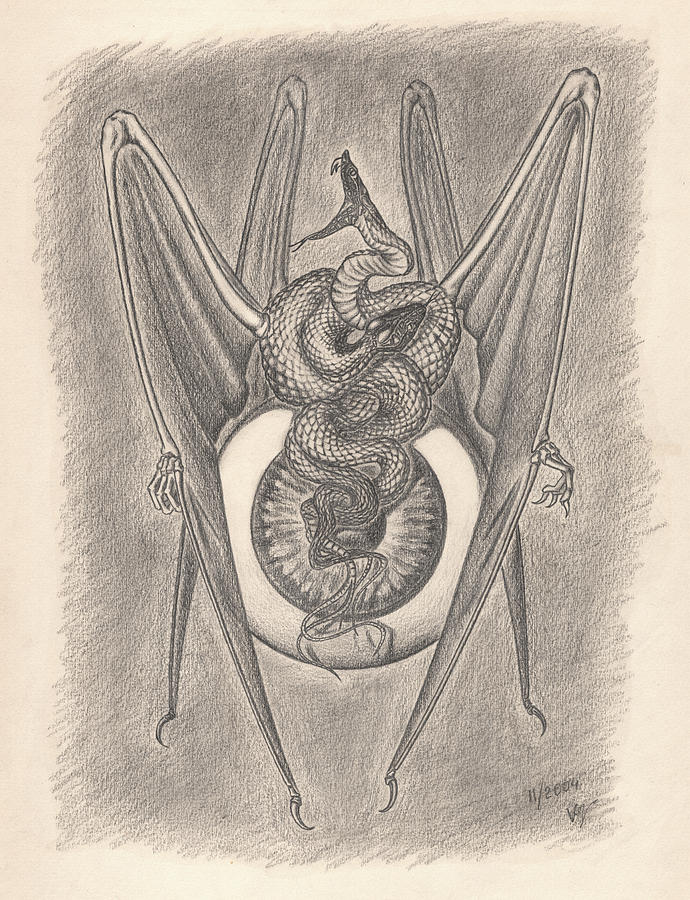 Winged Snakes Drawing by Inna Granat