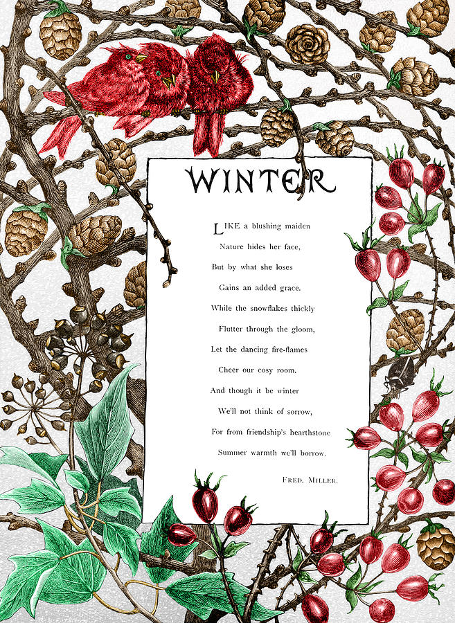 Winter II, A Poem Digital Art by Whimsidaisical - Fine Art America