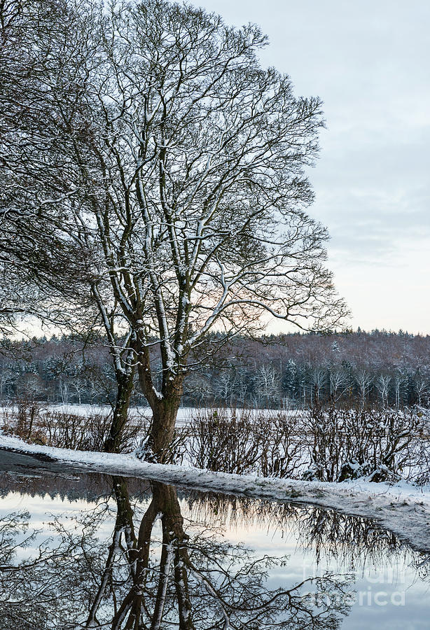 Winter In England, UK Photograph by Amanda Elwell - Fine Art America Winter In England, UK Photograph by Amanda Elwell - Fine Art America