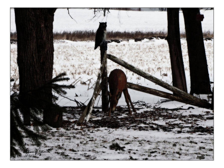 Winter Scene Photograph by Jim Turri | Fine Art America