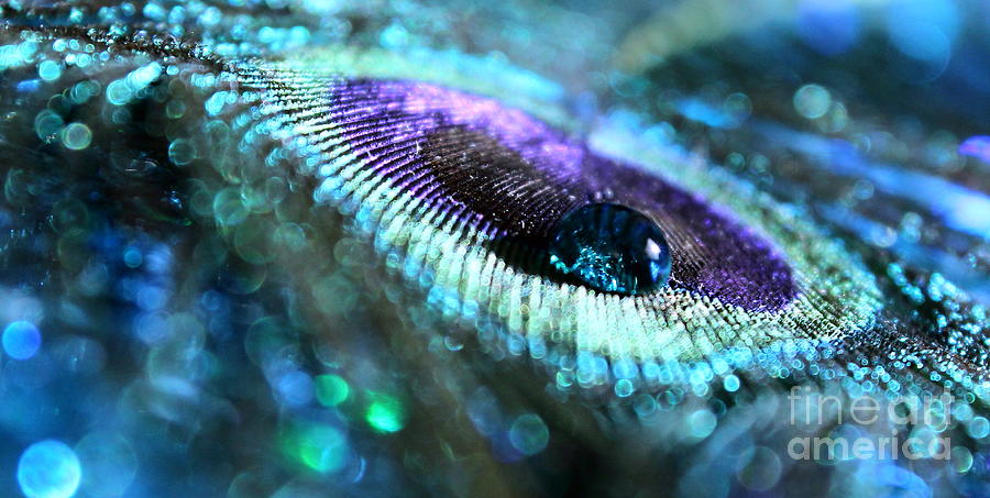Wonderous Photograph By Krissy Katsimbras Fine Art America