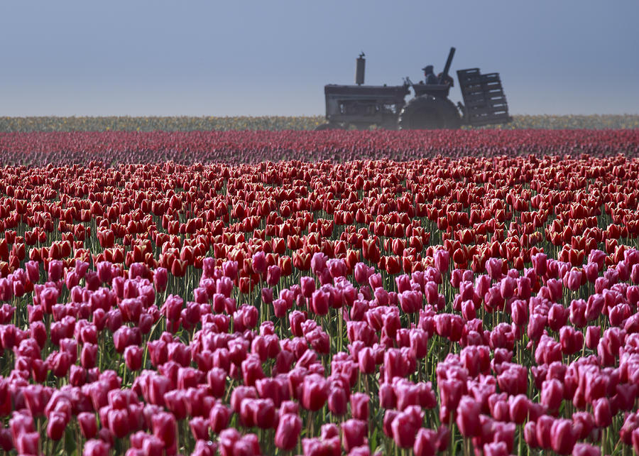 Working the Fields Photograph by Eric Ewing - Fine Art America