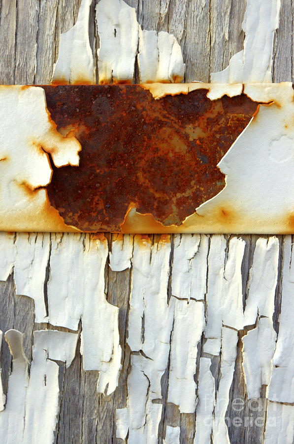 Worn Out Photograph by Josie Duff | Fine Art America