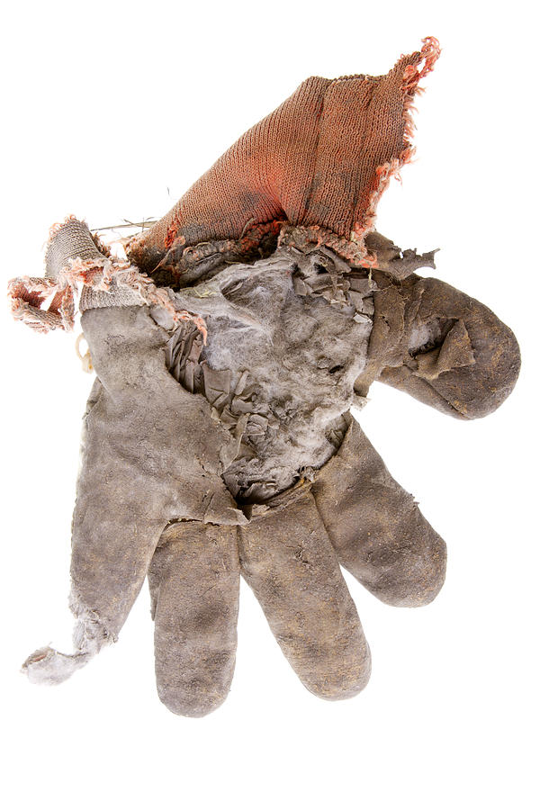 Worn Out Work Glove Isolated on White Photograph by Donald Erickson ...