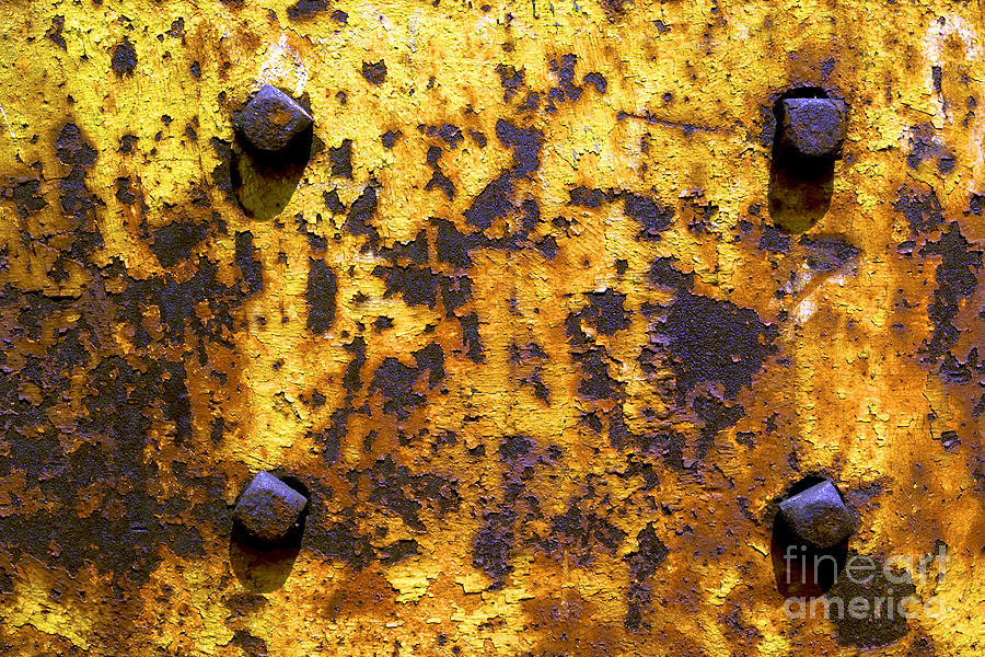 Yellow Rust Photograph by Misha Ha Baka - Fine Art America