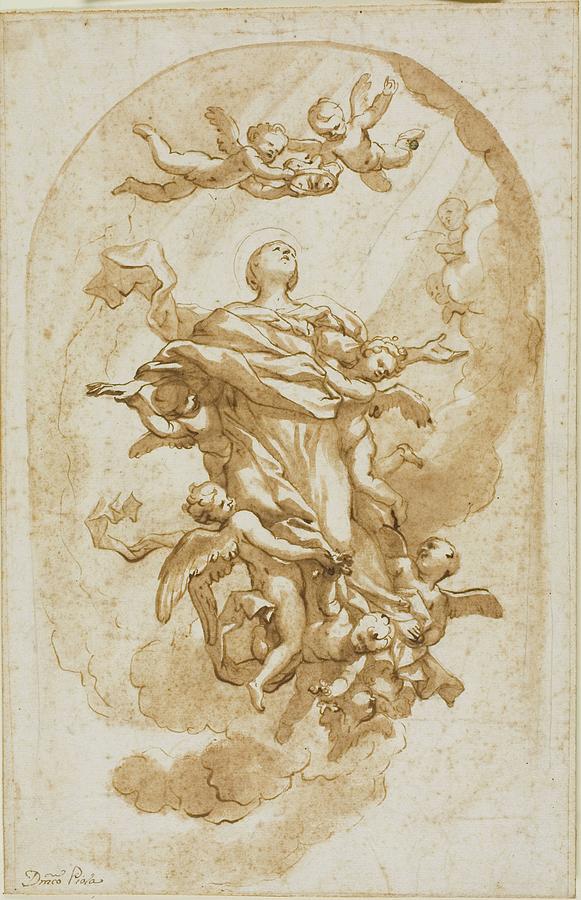 Assumption Of The Virgin Drawing by Domenico Piola - Fine Art America