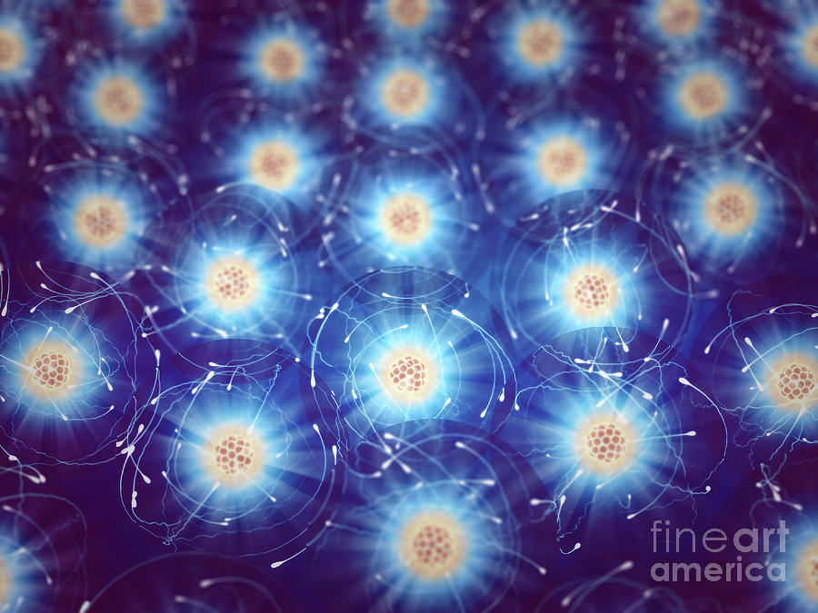 Atomic Structure Photograph by Nobeastsofierce/science Photo Library ...