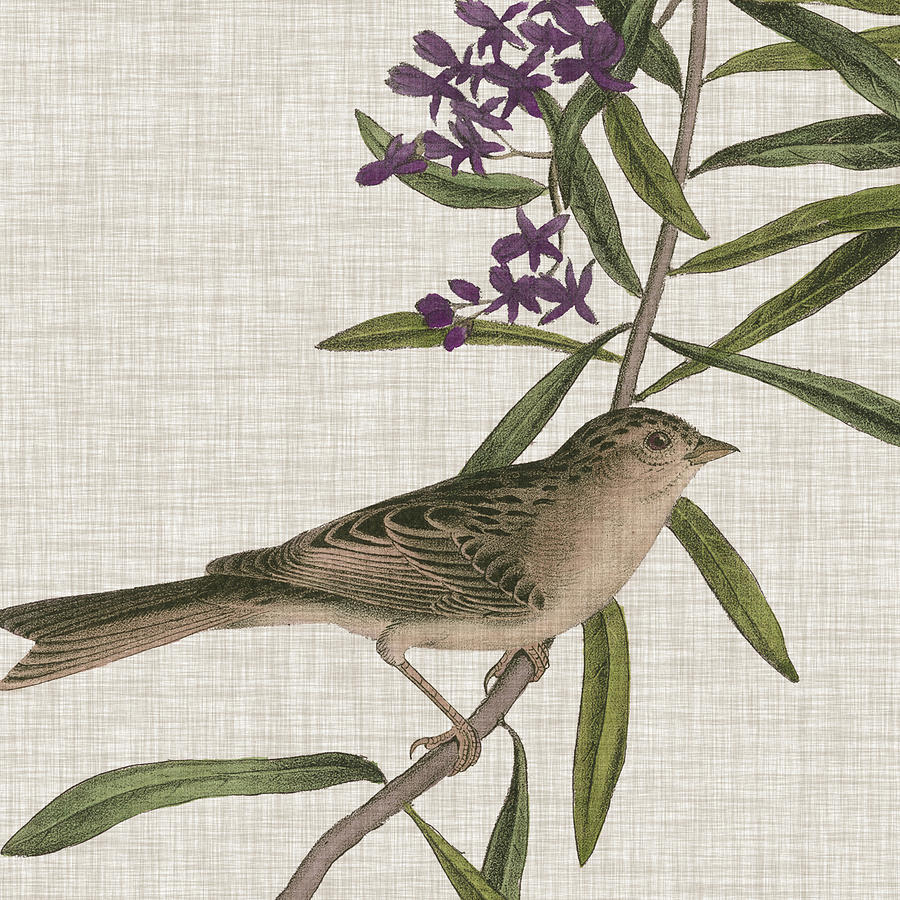 Avian Crop Ix Painting by John James Audubon - Fine Art America