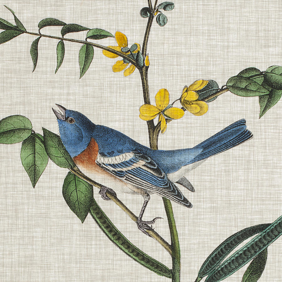 Avian Crop Viii Painting by John James Audubon - Fine Art America