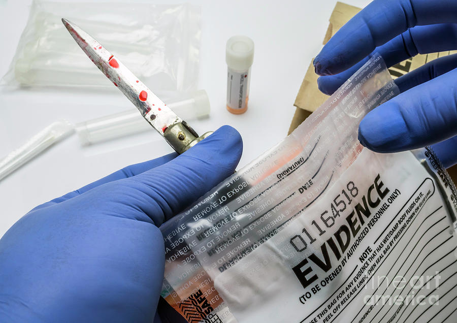 Bagging Forensic Evidence Photograph by Digicomphoto/science Photo ...