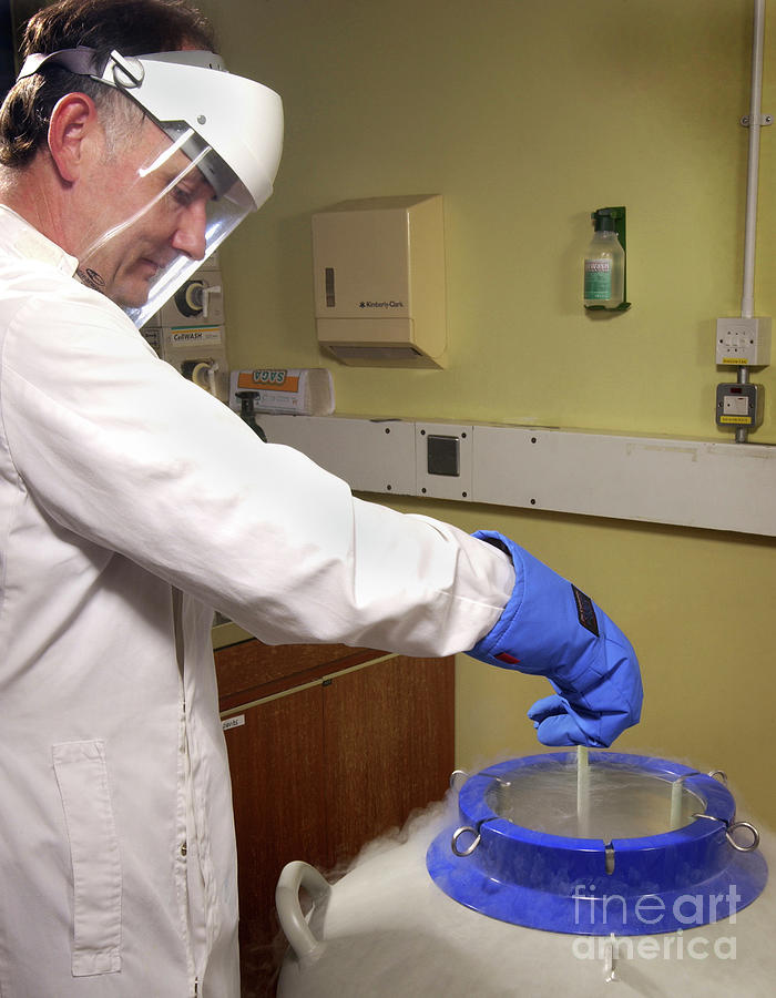 Cell Storage #1 by Science Photo Library