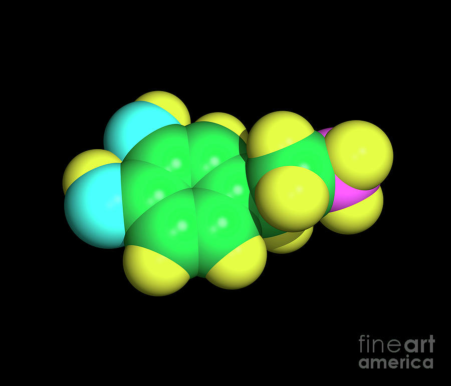Computer Artwork Of A Dopamine Molecule Photograph by Prof. K.seddon ...