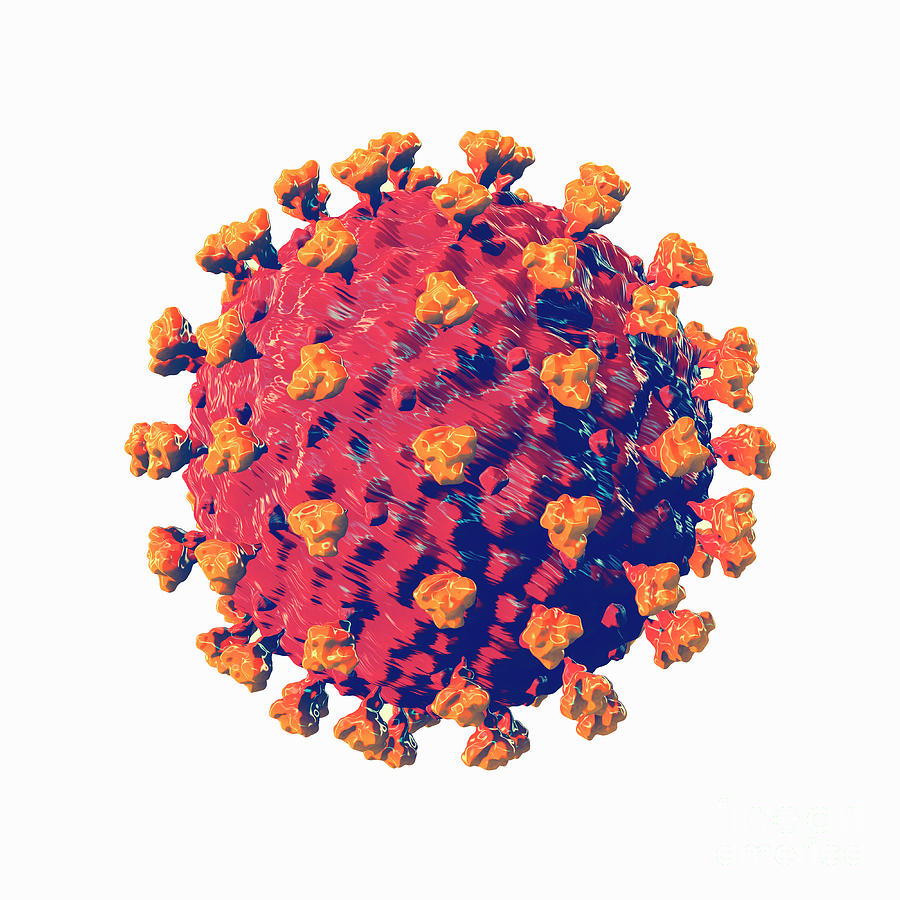 Coronavirus Particle Photograph by Nobeastsofierce/science Photo ...