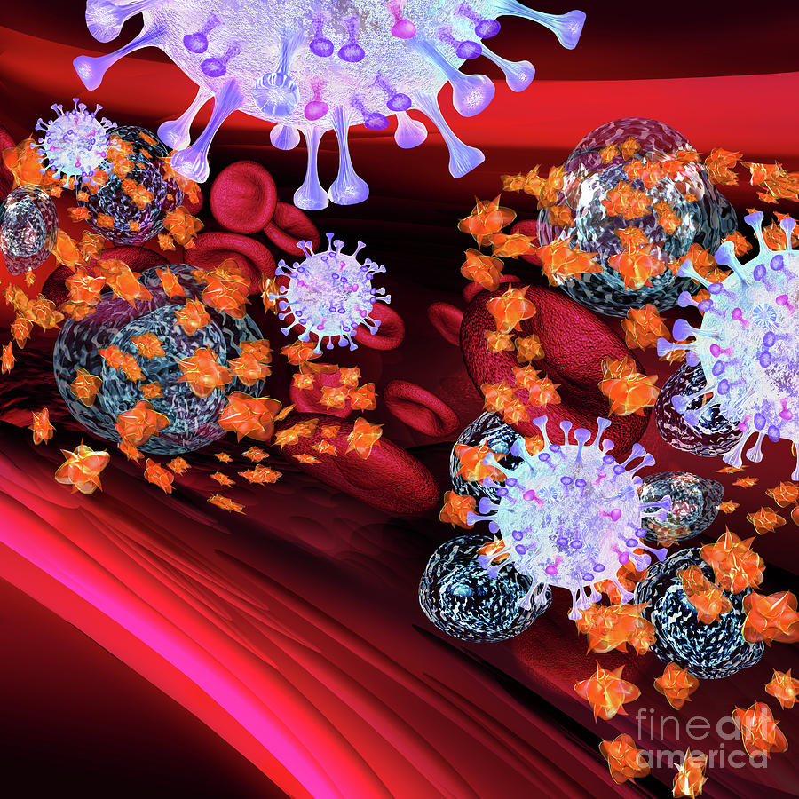 Covid-19 Cytokine Storm Photograph by Fernando Da Cunha/science Photo Library - Fine Art America