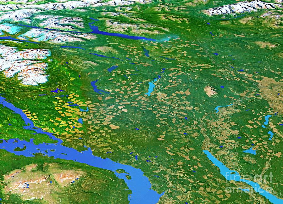 Deforestation In Canada Photograph by Worldsat International/science ... Deforestation In Canada Photograph by Worldsat International/science ...